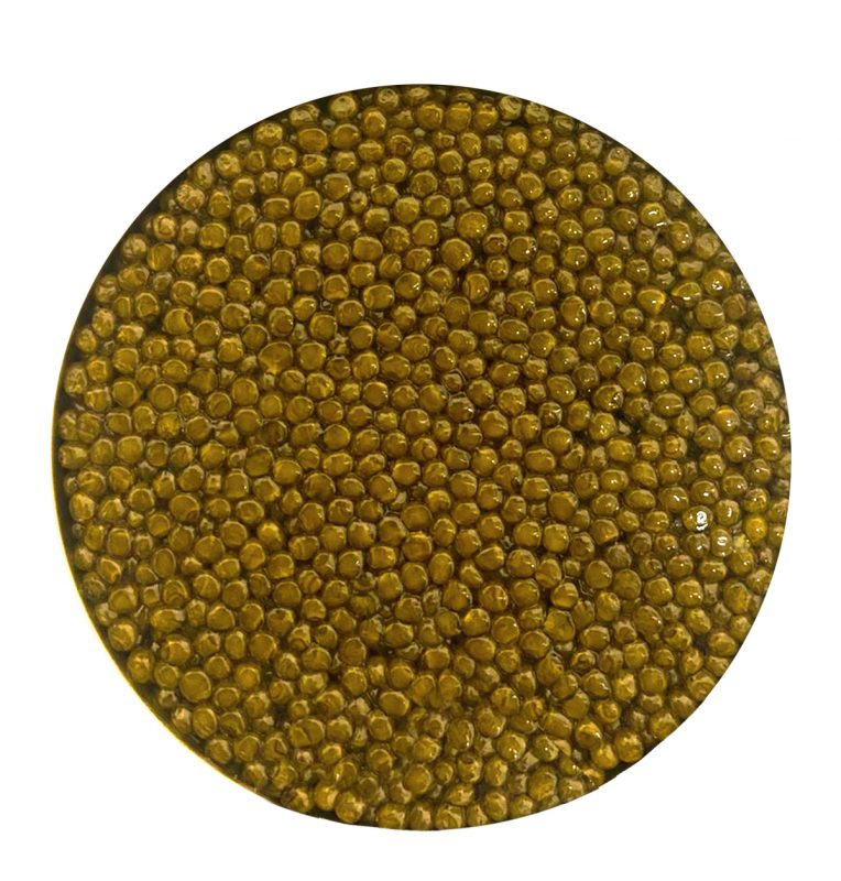 CASPIAN LEGACY – CAVIAR